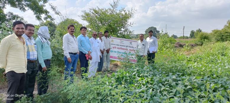 Vasantrao Naik Marathwada Krishi Vidyapeeth Parbhani Maharashtra India